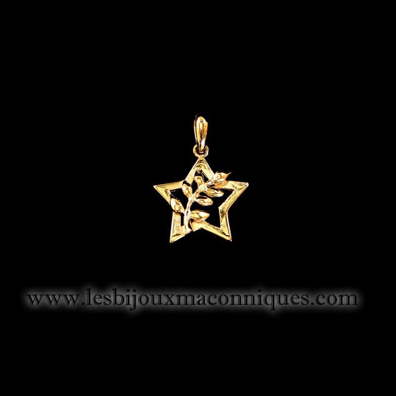 Acacia doré posé sur son Etoile